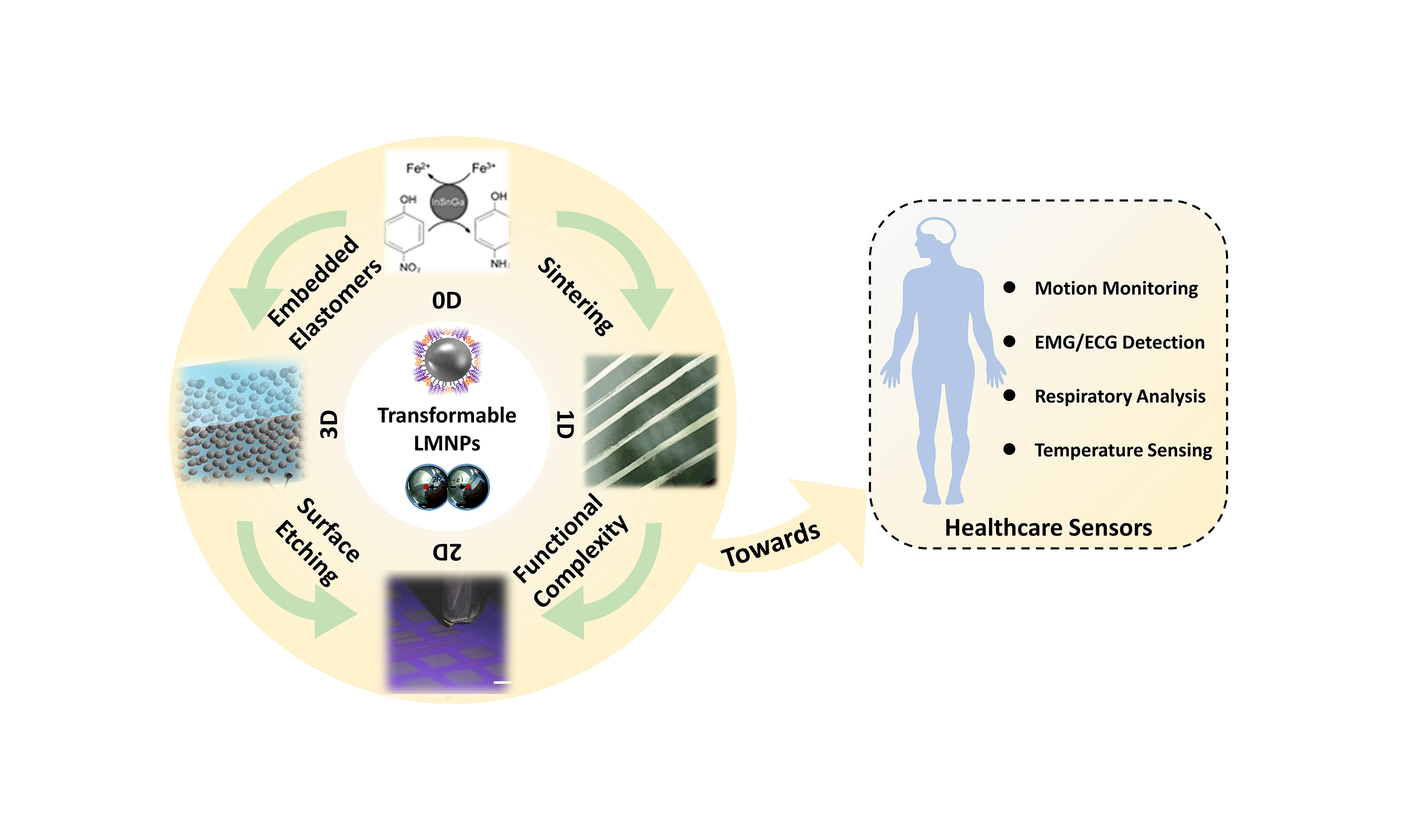 Topic: Liquid Metal Based Flexible Biosensors