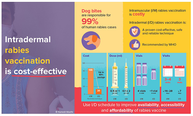 Topic: Adopt One Health, Stop Rabies: Current Progress for Dog-mediated ...