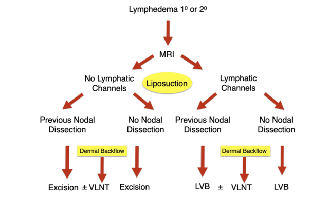 Topic: Recent Advances in Microsurgery for Lymphedema