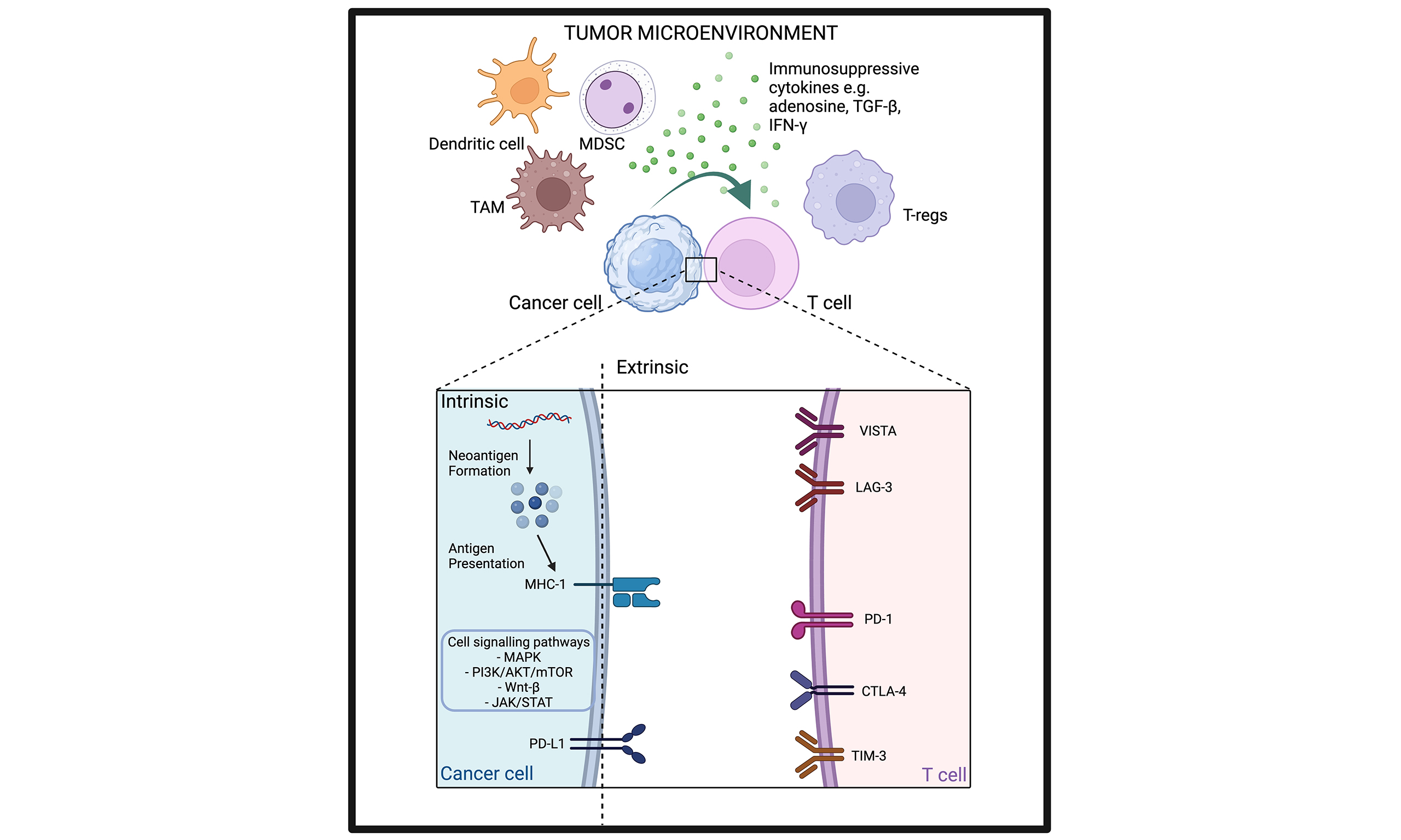 Topic: Resistance to Cancer Immunotherapy: Mechanisms, Advances ...