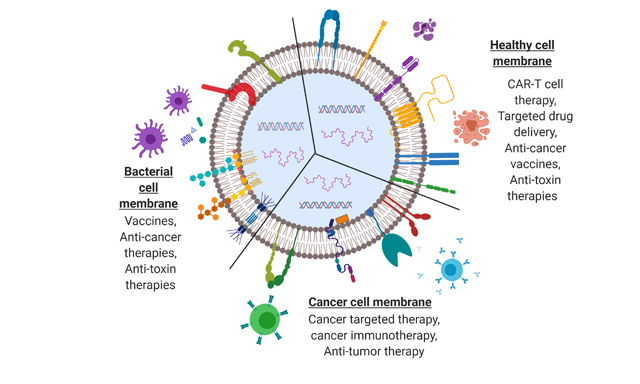 Topic: Overcome Cancer Drug Resistance by Nano-carrier Drug Delivery System