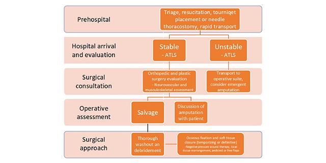 Topic: Advances in Microsurgery for Upper and Lower Extremity ...