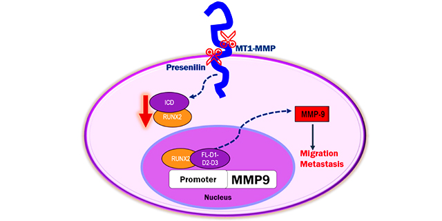 Topic: Resistance in Endocrine Therapy of Prostate Cancer