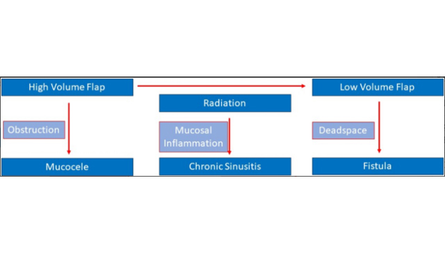 Topic: Microvascular Free Flap Reconstruction of the Head and Neck