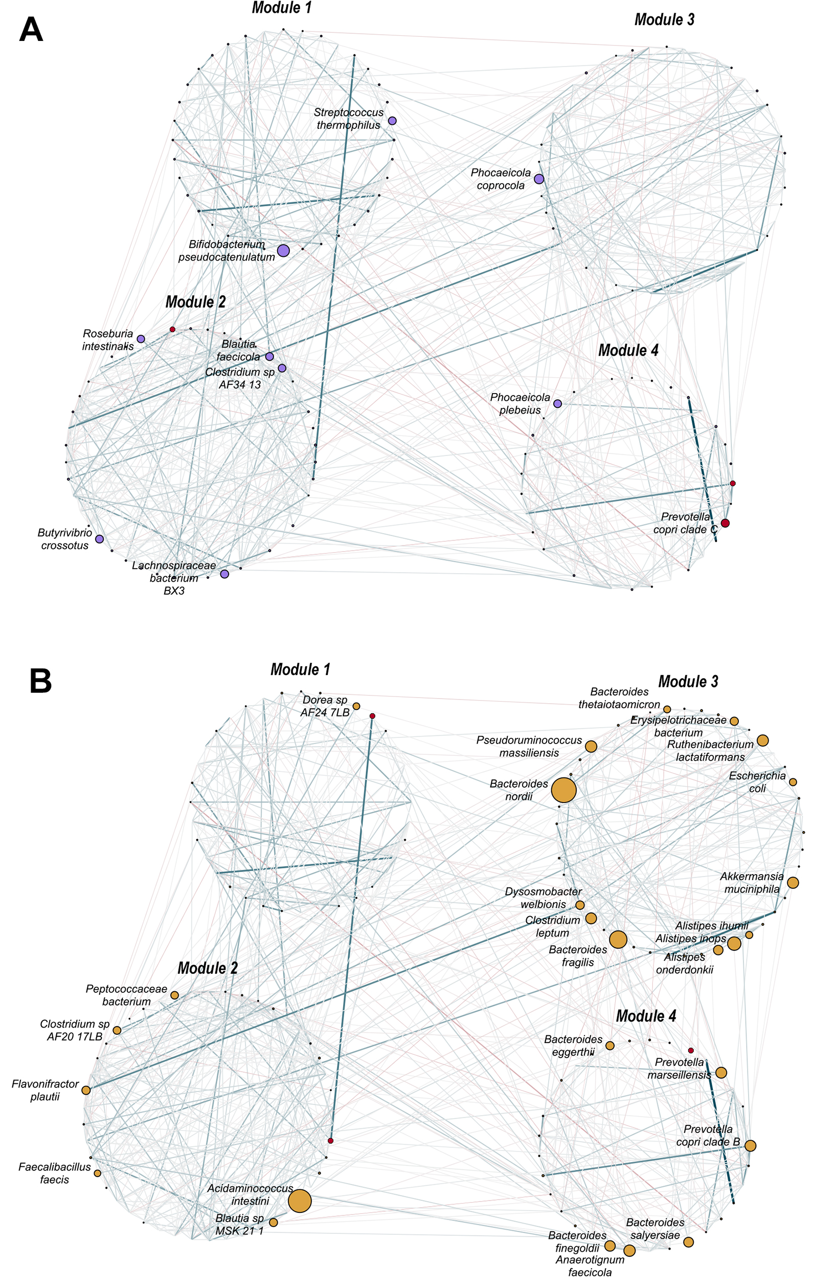 Connect the dots: sketching out microbiome interactions through ...