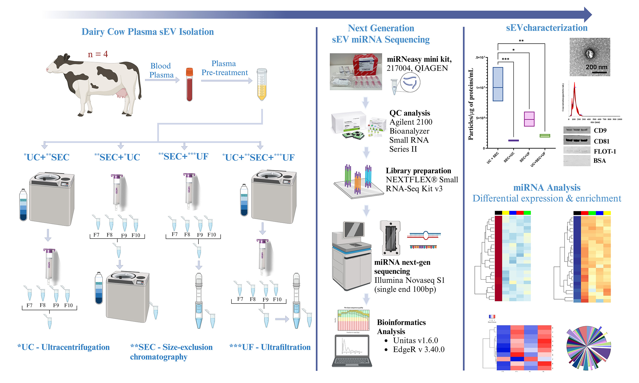Articles | Extracellular Vesicles and Circulating Nucleic Acids - OAE