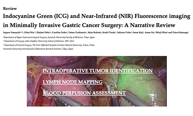 Articles | Mini-invasive Surgery - OAE