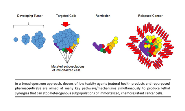 Topic: Molecular Mechanisms of Targeted Therapy Resistance in Breast ...