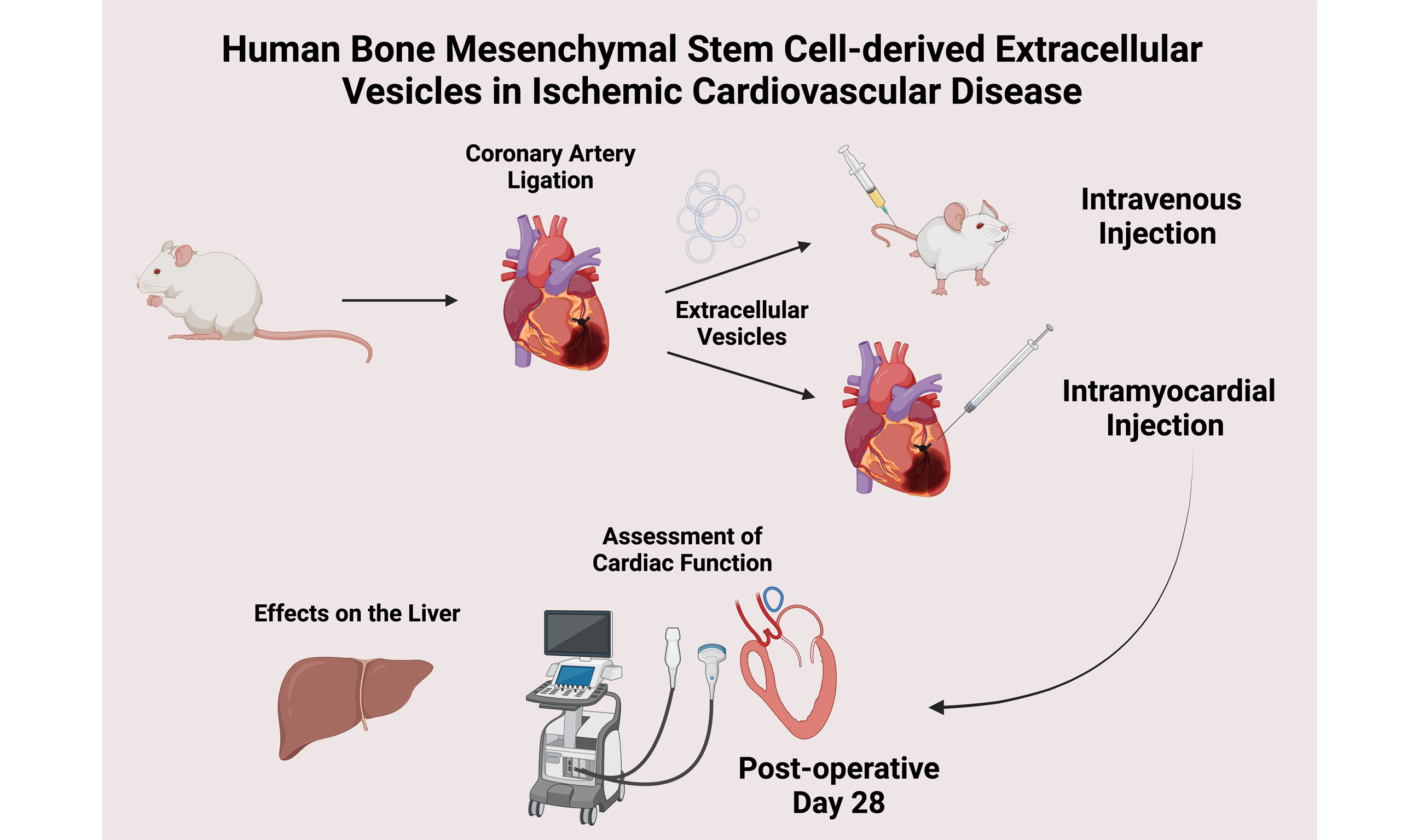 Topic: The Clinical and Biologic Treatment of Coronary Artery Disease