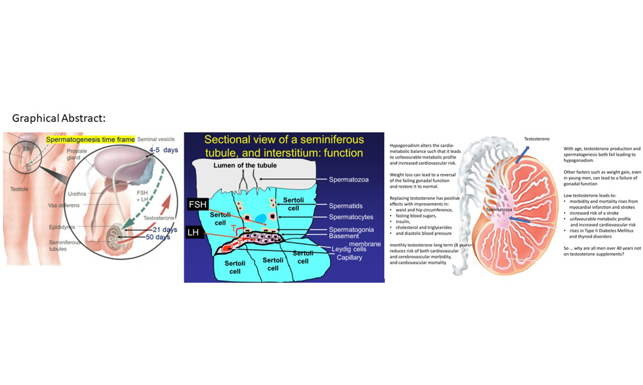 Metabolism and Target Organ Damage - OAE Publishing Inc.
