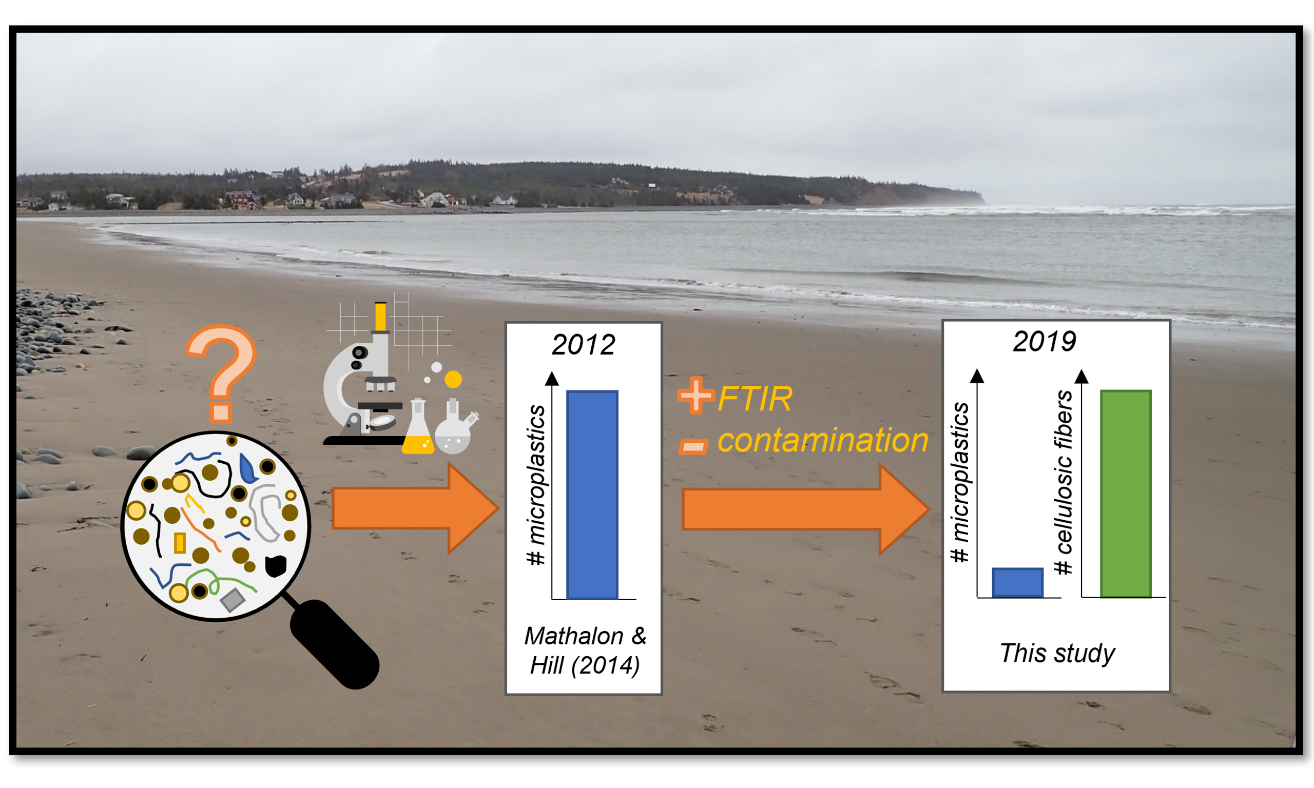 Articles | Water Emerging Contaminants & Nanoplastics - OAE