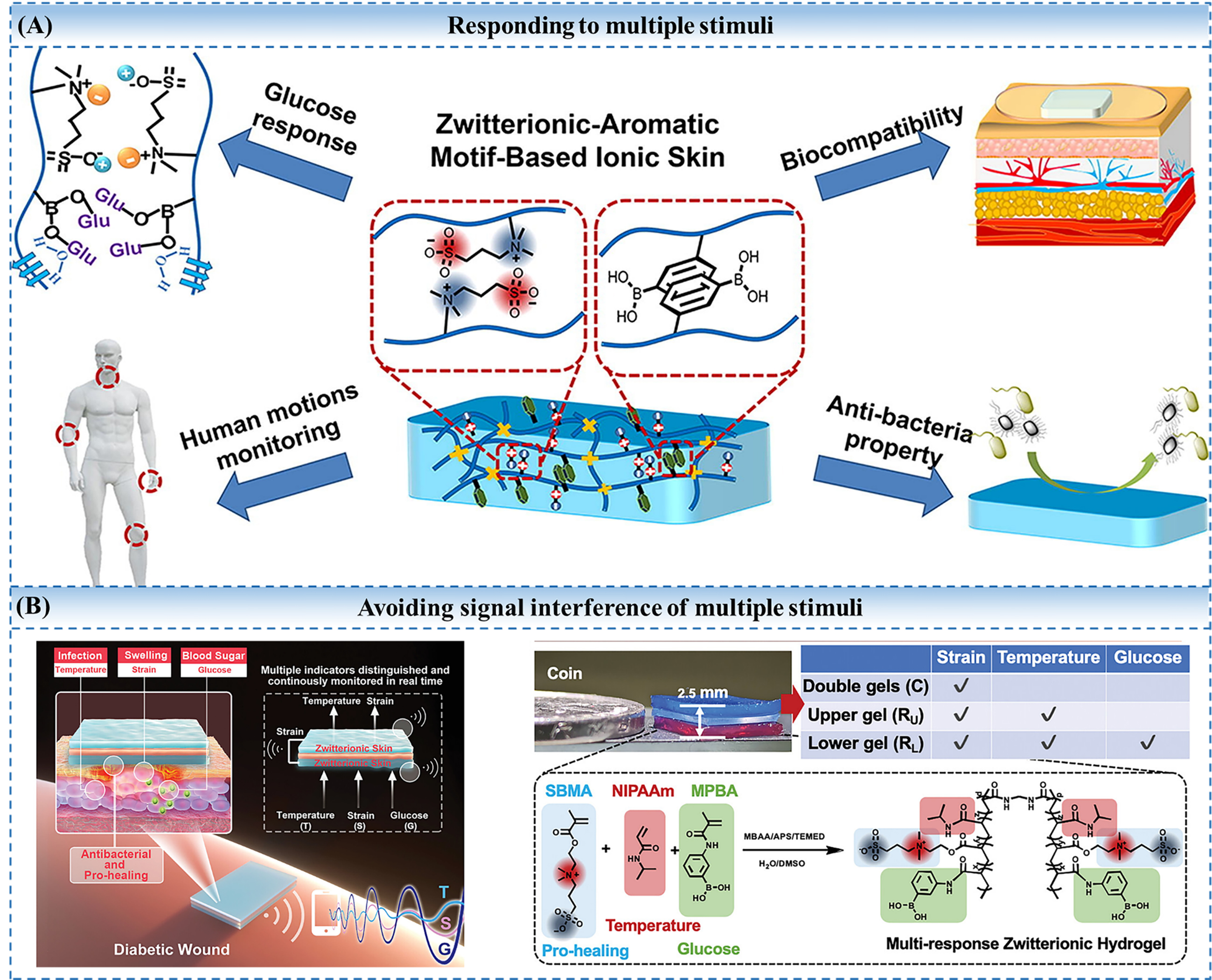 Zwitterionic hydrogels and their biomedical applications: a review