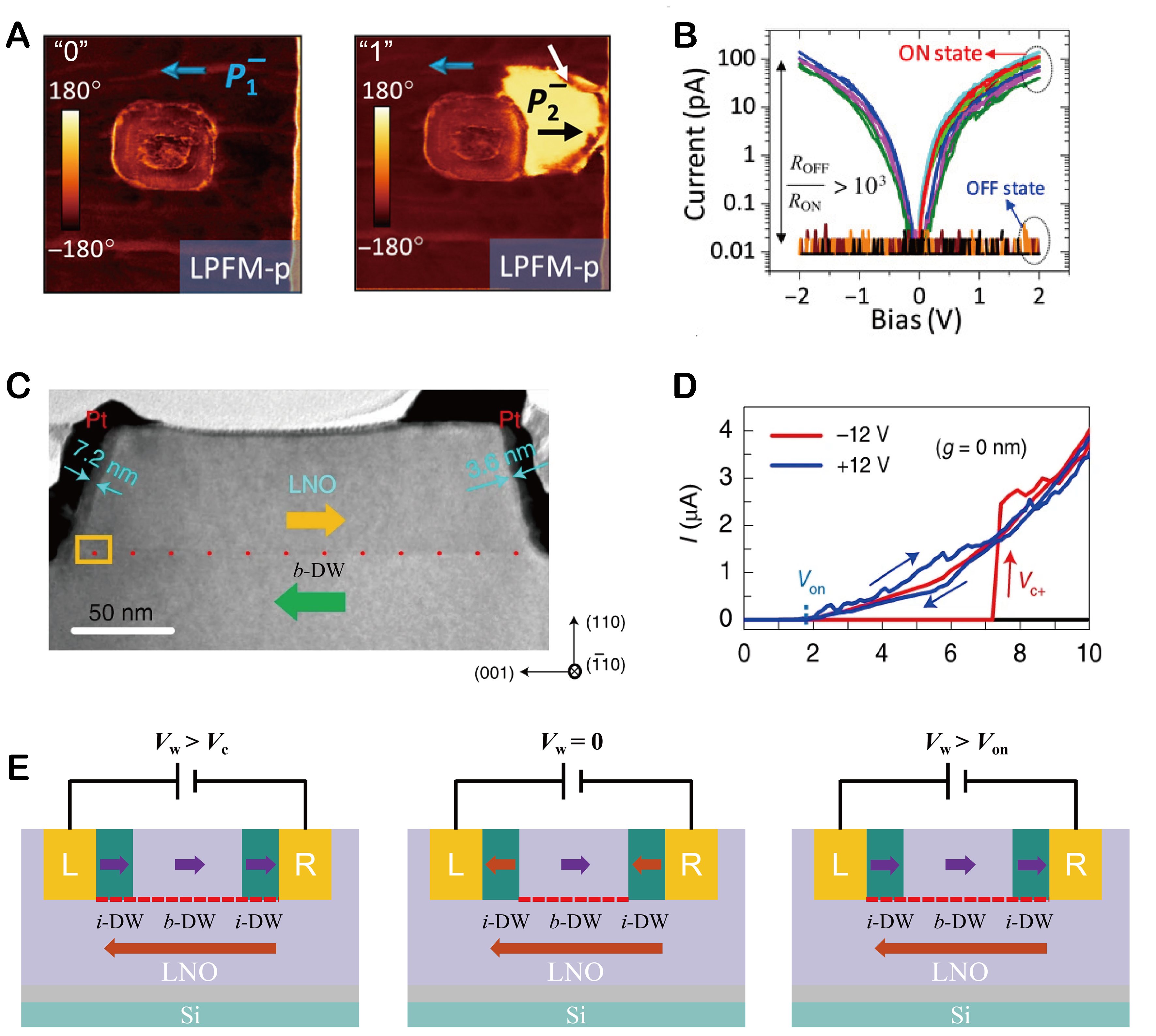 Roadmap for ferroelectric domain wall memory